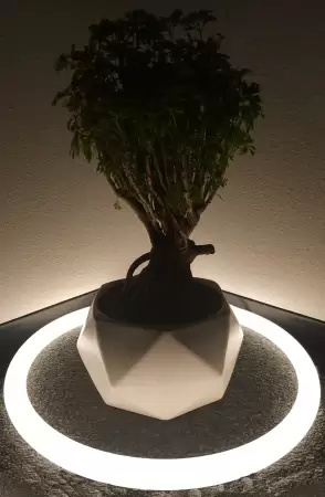 ACE Illuminations - Your Source for Exceptional Lighting Solutions